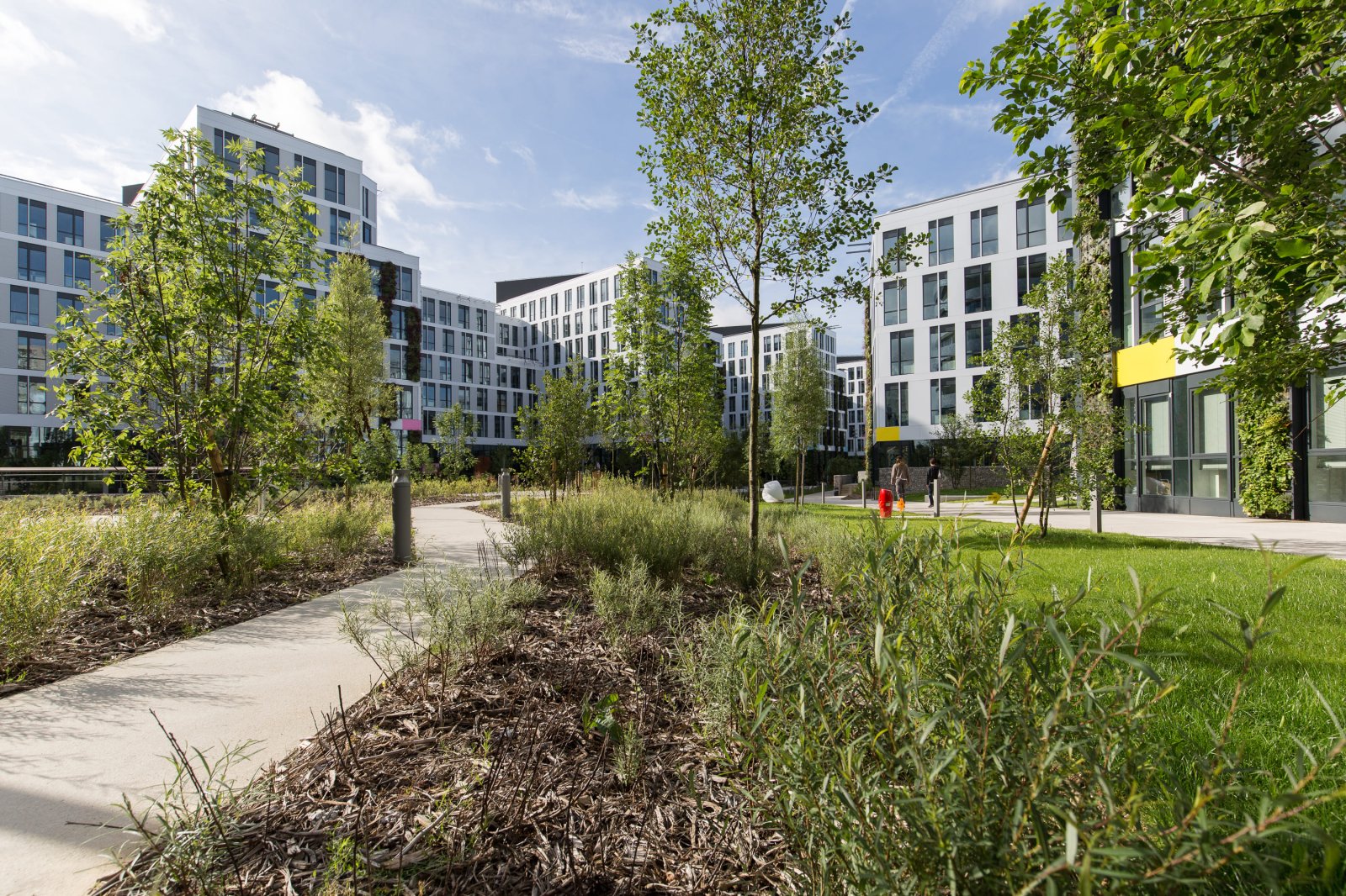 Eco Campus / Orange Gardens - Naissance et vie d'un Campus